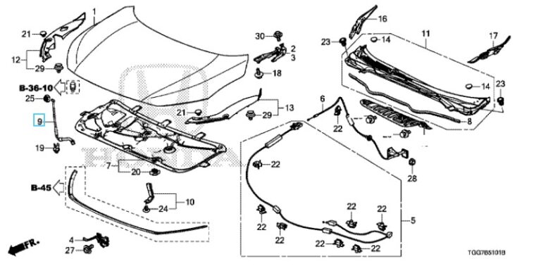 Honda Civic 2017-2021 Bonnet Stay | Honda Direct Parts