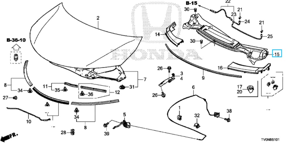 SCUTTLE | Honda Direct Parts